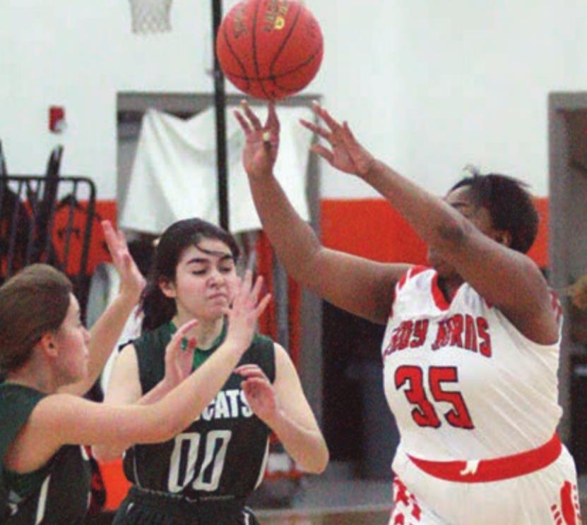Lady Horns rebound from loss in Shiner | Schulenburg Sticker