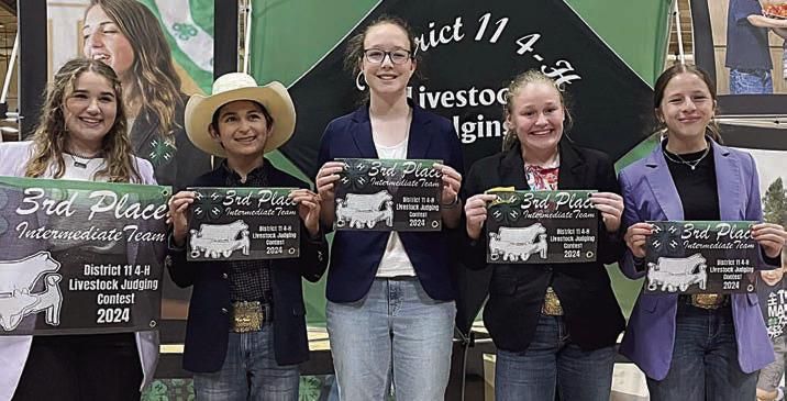 4-H livestock judgers win back-to-back sweepstakes | Schulenburg Sticker